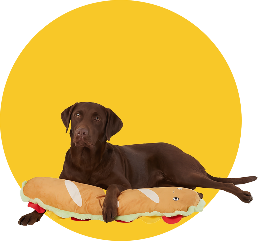 Joyhound Dog Toys: Rip Roarin Tough, Electronic Balls & Bones