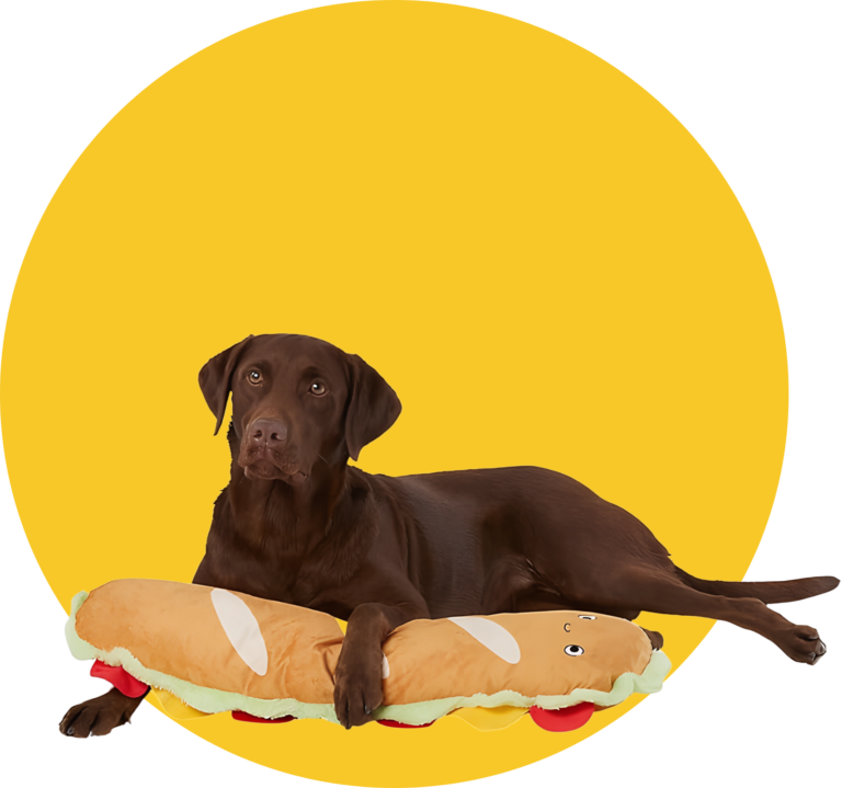 Joyhound Dog Toys | Durable Toys for Your Joy Dog